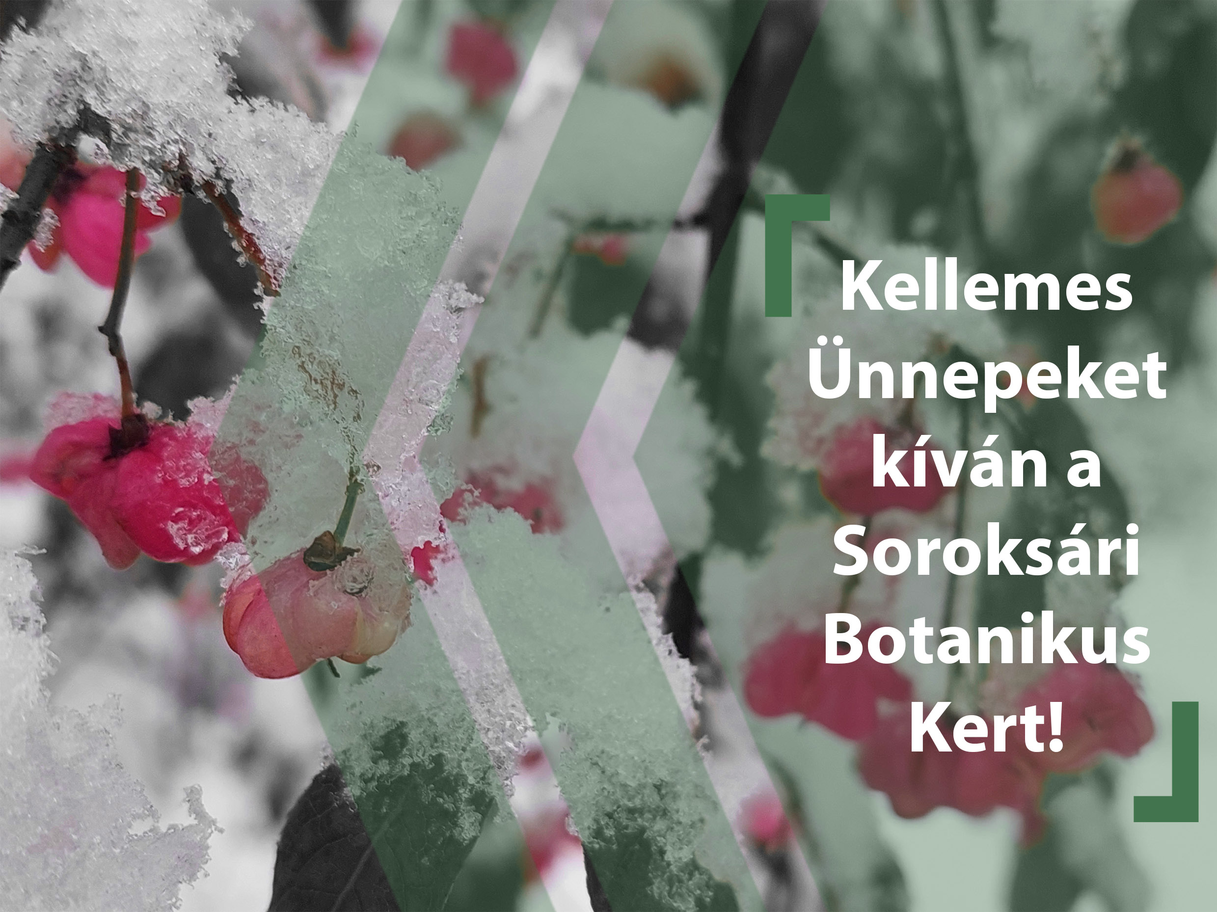 Home - Soroksári Botanikus Kert - MATE